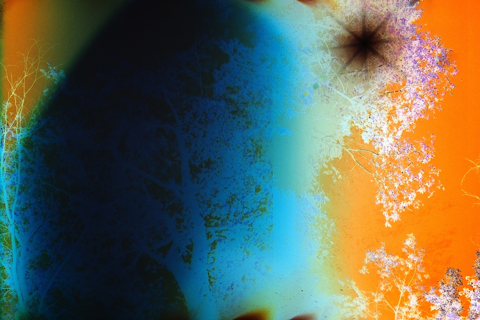 Leah Oates: Photographic Monuments to the Ephemeral in Nature – dArt ...